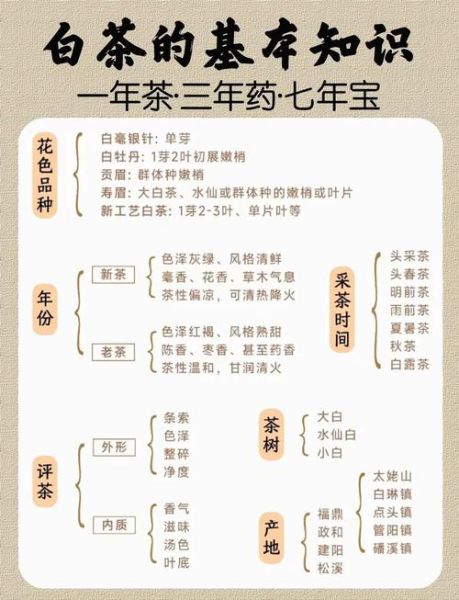 女人适合喝白茶吗_白茶的功效与作用-第1张图片-山城妙识