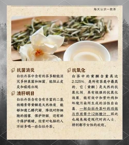 女人适合喝白茶吗_白茶的功效与作用-第2张图片-山城妙识