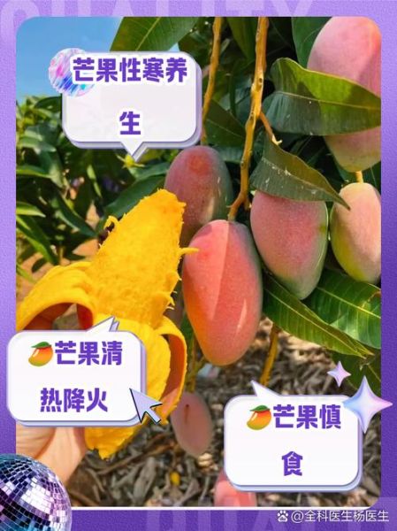 芒果是凉性还是热性_吃芒果上火吗-第3张图片-山城妙识