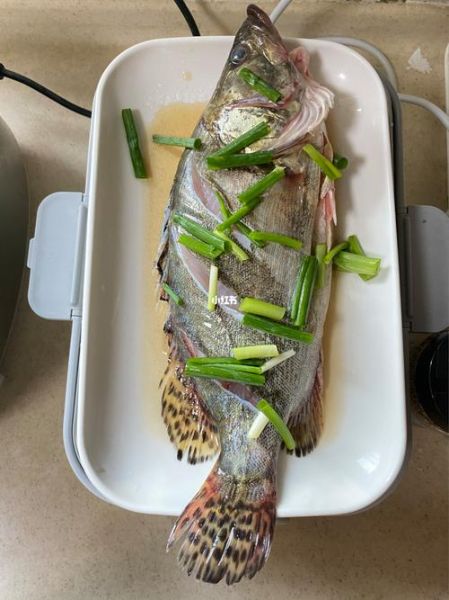 鲑鱼怎么做好吃_鲑鱼做法大全-第3张图片-山城妙识