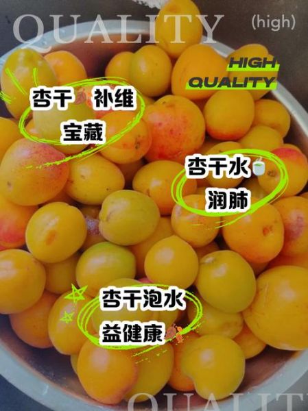 杏干是上火的还是下火的_吃杏干会上火吗-第2张图片-山城妙识