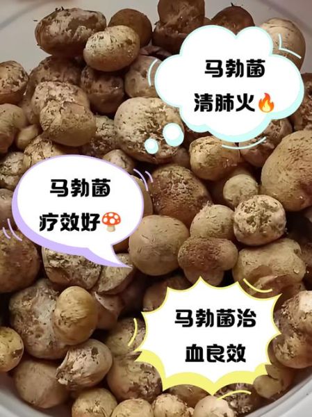 马勃菌的功效与作用_马勃菌怎么吃最有营养-第1张图片-山城妙识