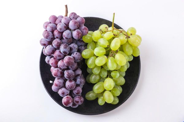 葡萄和提子的区别是什么_提子和葡萄哪个更甜-第3张图片-山城妙识