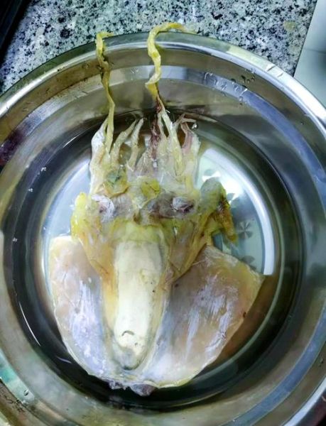 墨鱼怎么清洗_墨鱼清洗内脏技巧-第2张图片-山城妙识