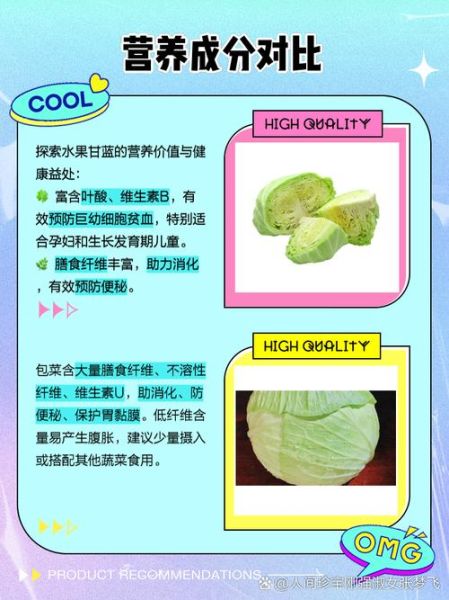 甘蓝和包菜的区别_哪个营养价值更高-第1张图片-山城妙识