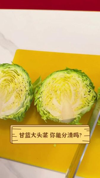 甘蓝和包菜的区别_哪个营养价值更高-第3张图片-山城妙识