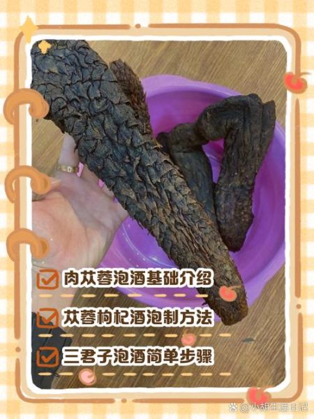 肉苁蓉泡水喝的正确步骤_肉苁蓉泡水一天喝几次-第1张图片-山城妙识