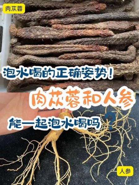 肉苁蓉泡水喝的正确步骤_肉苁蓉泡水一天喝几次-第3张图片-山城妙识