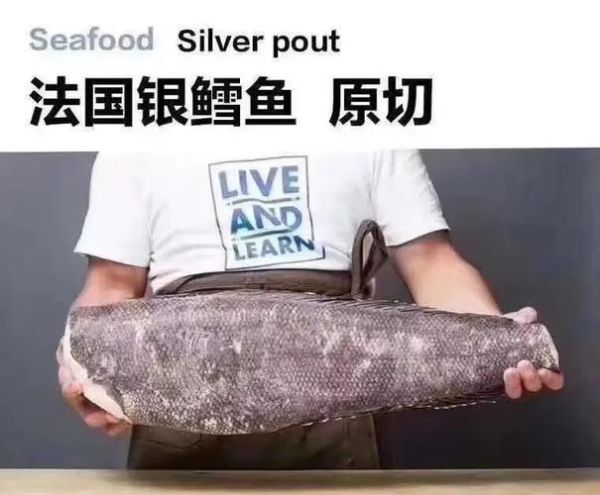 银鳕鱼长什么样_银鳕鱼图片大全怎么辨别真假-第1张图片-山城妙识
