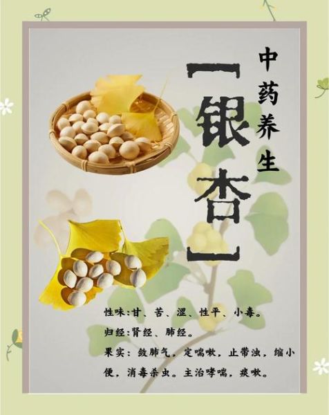 银杏果有什么功效_银杏果怎么吃才安全-第1张图片-山城妙识