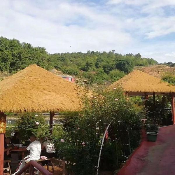 茅草图片大全_茅草屋顶怎么铺-第1张图片-山城妙识 茅草图片大全_茅草屋顶怎么铺-第1张图片-山城妙识