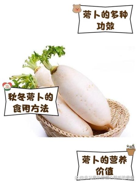 蔬菜人参是什么_蔬菜人参怎么吃-第1张图片-山城妙识 蔬菜人参是什么_蔬菜人参怎么吃-第1张图片-山城妙识