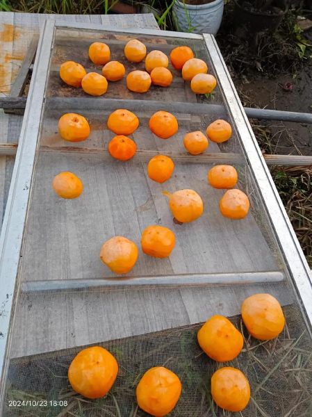 柿饼怎么保存不会发霉_柿饼晒多久才能吃-第2张图片-山城妙识 柿饼怎么保存不会发霉_柿饼晒多久才能吃-第2张图片-山城妙识