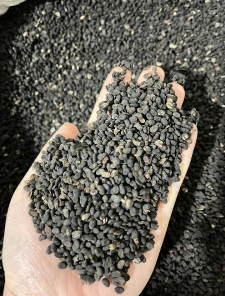 补骨脂的副作用有哪些_补骨脂长期吃安全吗-第2张图片-山城妙识