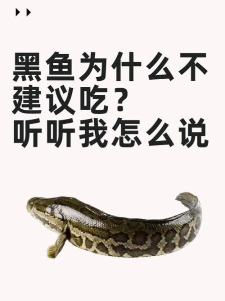 98年黑鱼吃人事件真相_黑鱼会攻击人类吗-第1张图片-山城妙识 98年黑鱼吃人事件真相_黑鱼会攻击人类吗-第1张图片-山城妙识