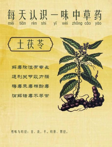 土茯苓的功效与作用_土茯苓能治疗什么病-第1张图片-山城妙识