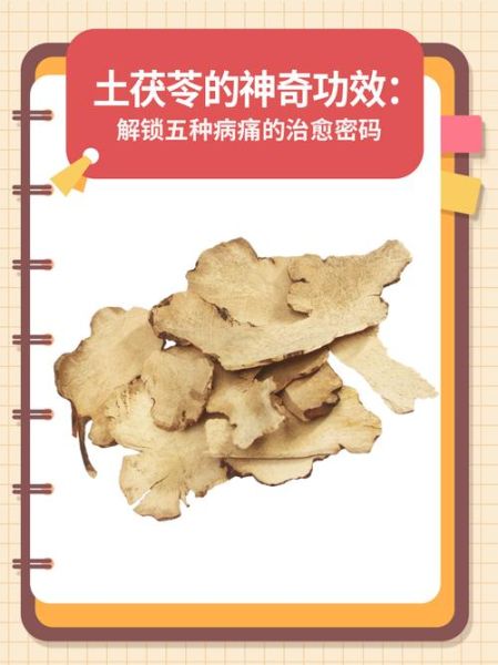 土茯苓的功效与作用_土茯苓能治疗什么病-第2张图片-山城妙识