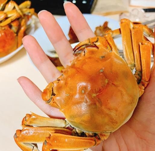 吃螃蟹的蘸料怎么做_经典配方与变体-第3张图片-山城妙识