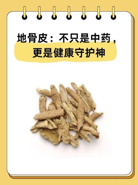 地骨皮的功效与作用_地骨皮主治哪些病-第2张图片-山城妙识 地骨皮的功效与作用_地骨皮主治哪些病-第2张图片-山城妙识