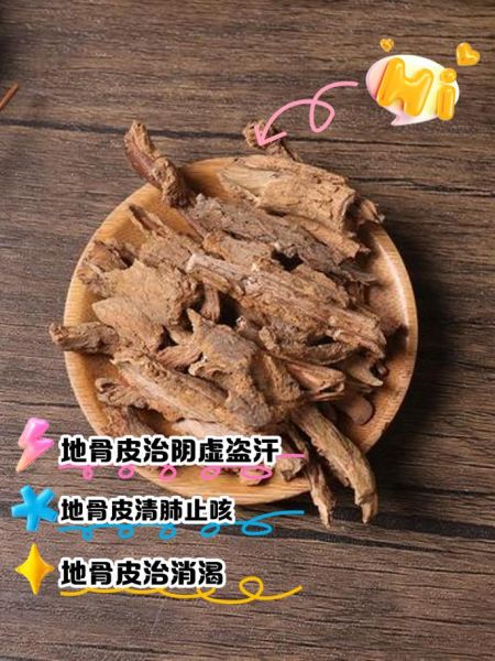 地骨皮的功效与作用_地骨皮主治哪些病-第1张图片-山城妙识 地骨皮的功效与作用_地骨皮主治哪些病-第1张图片-山城妙识