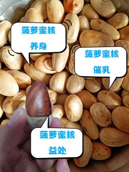 菠萝蜜核的功效与作用_菠萝蜜核的禁忌有哪些-第3张图片-山城妙识