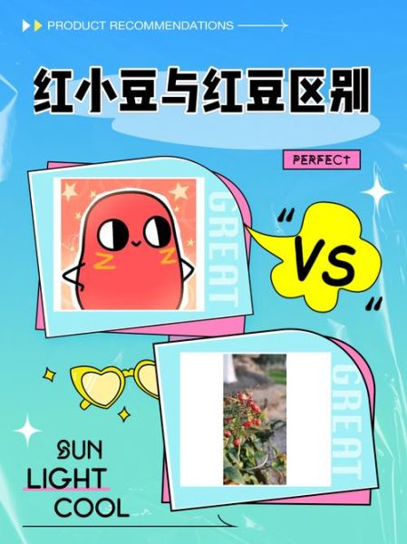 红豆视频怎么找回_红豆视频账号找回方法-第1张图片-山城妙识