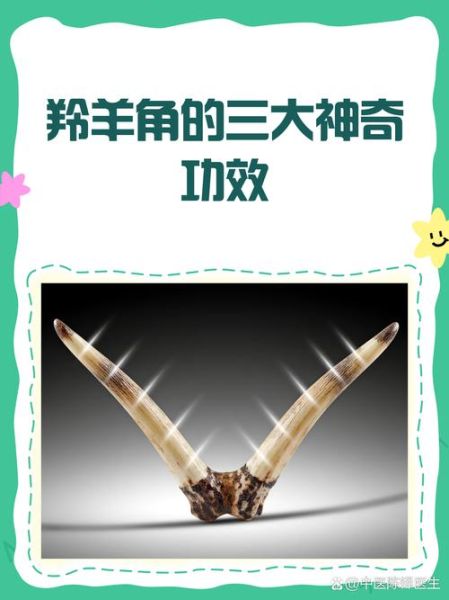 羚羊角的功效与作用禁忌_哪些人不能吃-第2张图片-山城妙识 羚羊角的功效与作用禁忌_哪些人不能吃-第2张图片-山城妙识