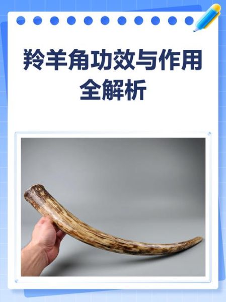 羚羊角的功效与作用禁忌_哪些人不能吃-第3张图片-山城妙识 羚羊角的功效与作用禁忌_哪些人不能吃-第3张图片-山城妙识