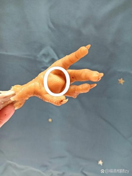 鸡脚的营养价值_吃鸡脚能补充胶原蛋白吗-第2张图片-山城妙识