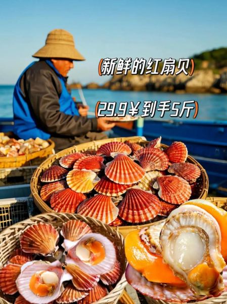 鲜贝和扇贝是一种东西吗_鲜贝与扇贝区别-第1张图片-山城妙识 鲜贝和扇贝是一种东西吗_鲜贝与扇贝区别-第1张图片-山城妙识