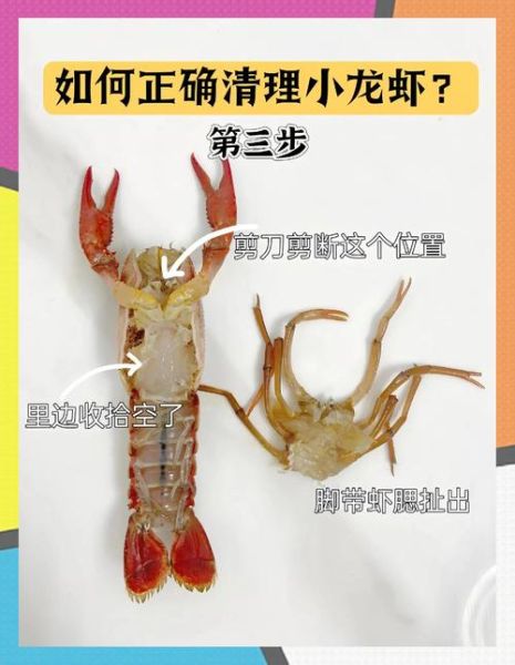 小龙虾怎么洗_龙虾的做法视频教程-第1张图片-山城妙识