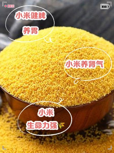 中医为什么不让吃小米_小米性寒真相-第2张图片-山城妙识
