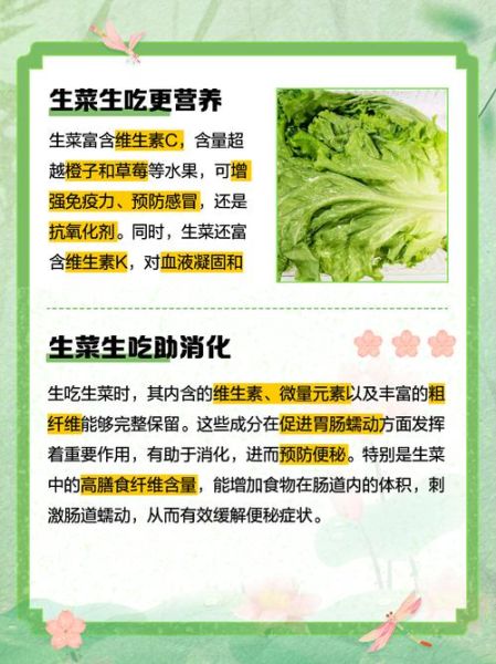 生菜的功效与禁忌_哪些人不能吃生菜-第1张图片-山城妙识