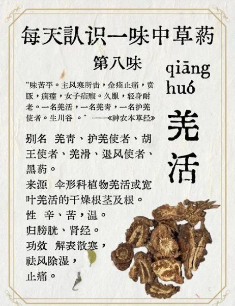 羌活的功效与作用及禁忌_什么人不能吃羌活-第1张图片-山城妙识