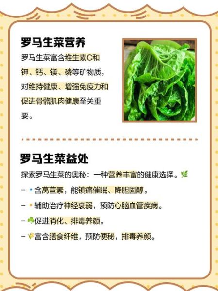 生菜的功效与禁忌_哪些人不能吃生菜-第3张图片-山城妙识