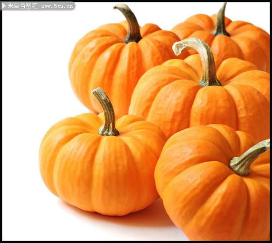南瓜图片素材哪里找_南瓜图片素材怎么用-第1张图片-山城妙识 南瓜图片素材哪里找_南瓜图片素材怎么用-第1张图片-山城妙识