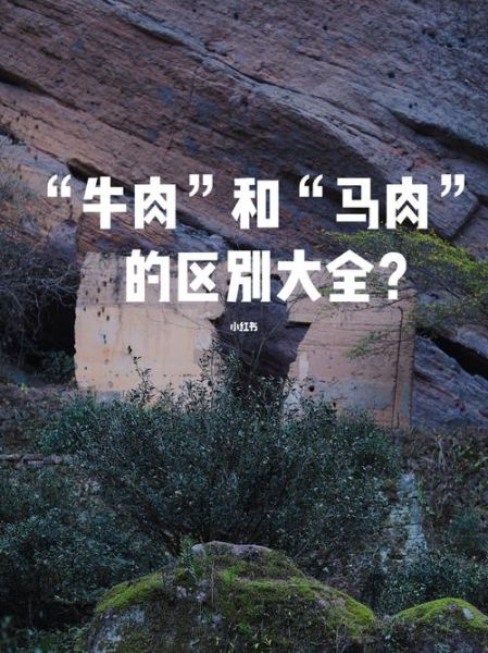 马肉与牛肉的区别_哪个更健康-第2张图片-山城妙识