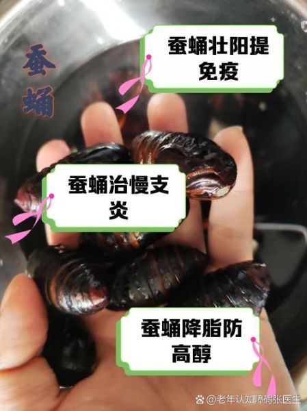 蚕蛹的营养价值_蚕蛹怎么吃最营养-第2张图片-山城妙识
