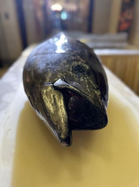 吞拿鱼好吃吗_吞拿鱼口感怎么样-第1张图片-山城妙识