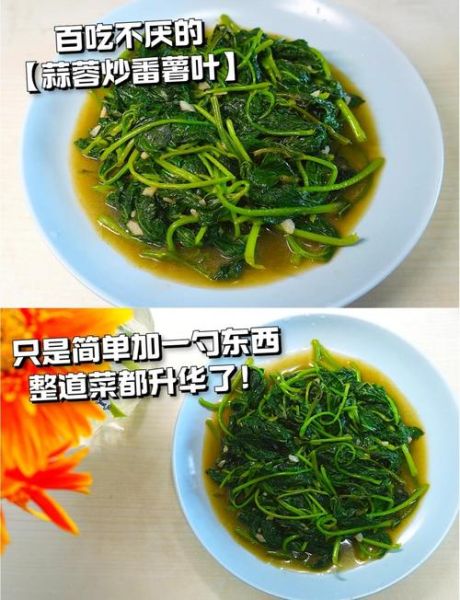大连理工红烧土豆叶是什么_怎么做才好吃-第3张图片-山城妙识