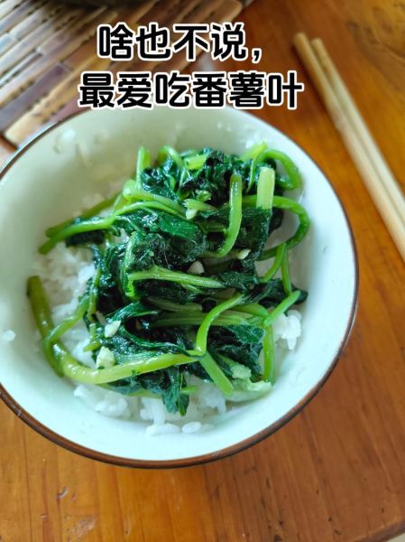 大连理工红烧土豆叶是什么_怎么做才好吃-第2张图片-山城妙识