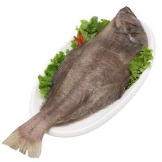 鸦片鱼一般多少斤_鸦片鱼一条几斤算正常-第2张图片-山城妙识 鸦片鱼一般多少斤_鸦片鱼一条几斤算正常-第2张图片-山城妙识