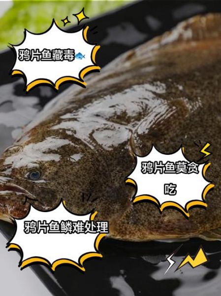 鸦片鱼一般多少斤_鸦片鱼一条几斤算正常-第3张图片-山城妙识 鸦片鱼一般多少斤_鸦片鱼一条几斤算正常-第3张图片-山城妙识