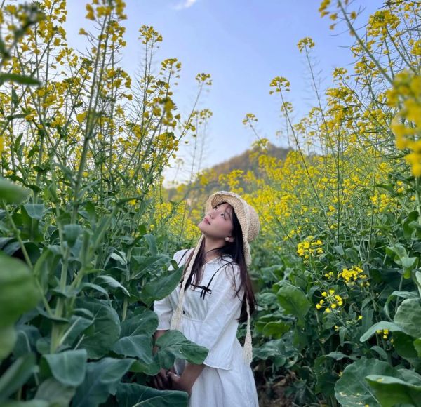 油菜花什么时候开_油菜花图片拍摄技巧-第3张图片-山城妙识