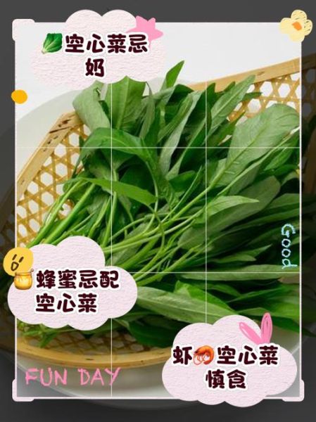 空心菜不能和什么一起吃_空心菜相克食物有哪些-第1张图片-山城妙识 空心菜不能和什么一起吃_空心菜相克食物有哪些-第1张图片-山城妙识