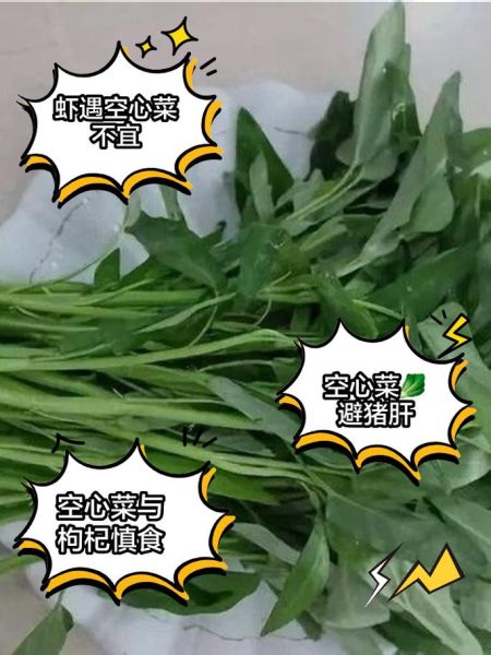 空心菜不能和什么一起吃_空心菜相克食物有哪些-第2张图片-山城妙识 空心菜不能和什么一起吃_空心菜相克食物有哪些-第2张图片-山城妙识