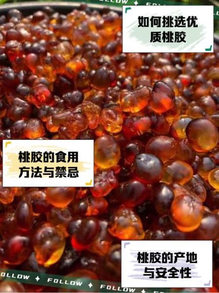 桃胶是什么东西形成的_桃胶是怎么来的-第2张图片-山城妙识