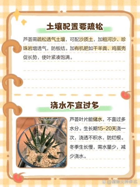 芦荟怎么养才能爆盆_芦荟养殖方法步骤-第1张图片-山城妙识 芦荟怎么养才能爆盆_芦荟养殖方法步骤-第1张图片-山城妙识