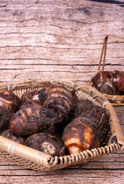 哪些人不能吃芋头_芋头过敏人群有哪些-第1张图片-山城妙识 哪些人不能吃芋头_芋头过敏人群有哪些-第1张图片-山城妙识