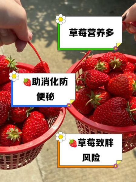 草莓晚上吃有什么危害_睡前吃草莓的坏处-第2张图片-山城妙识 草莓晚上吃有什么危害_睡前吃草莓的坏处-第2张图片-山城妙识